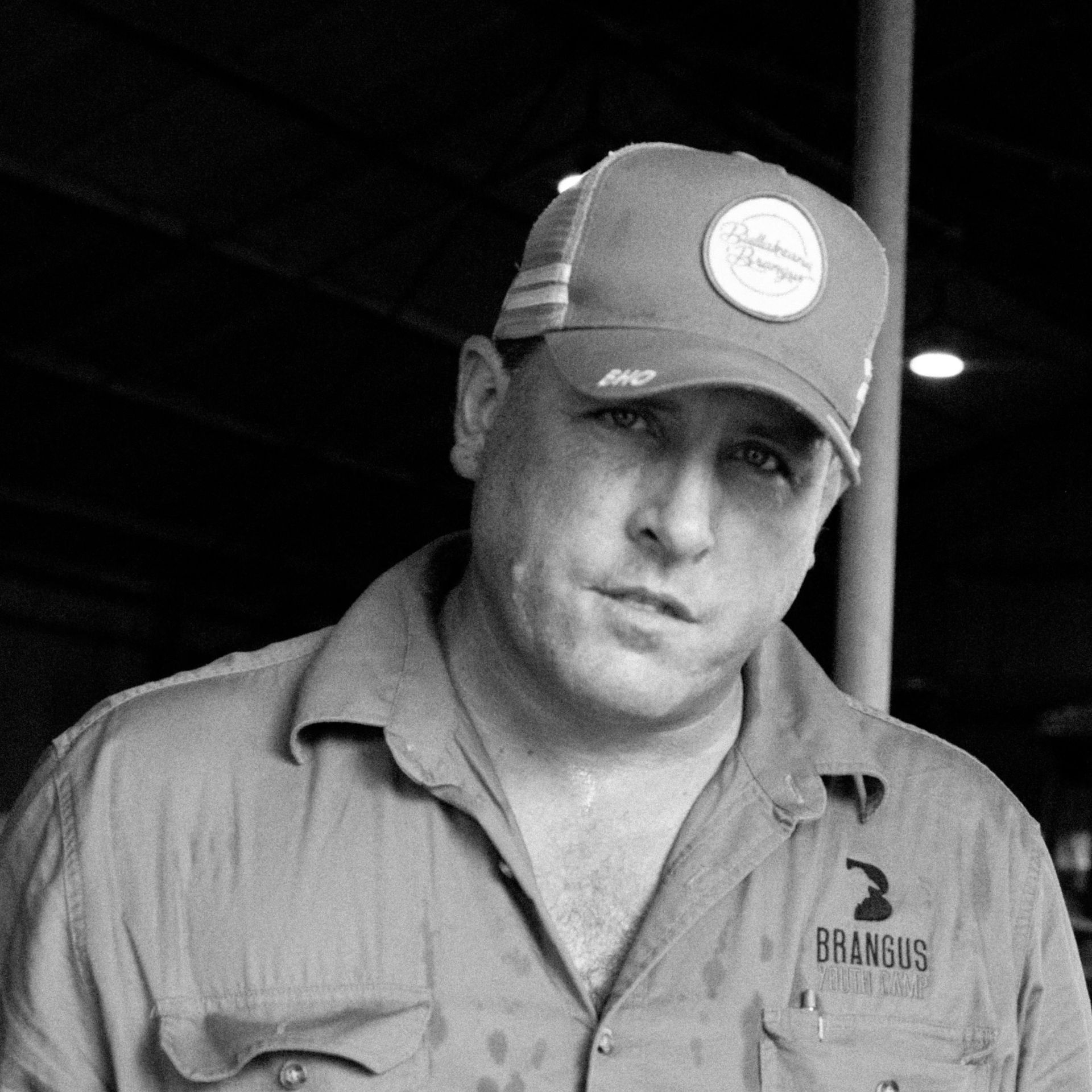 Directors - Brangus.com.au