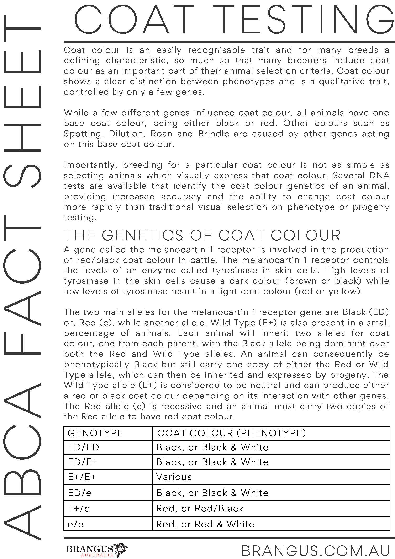Understanding Coat Colour
