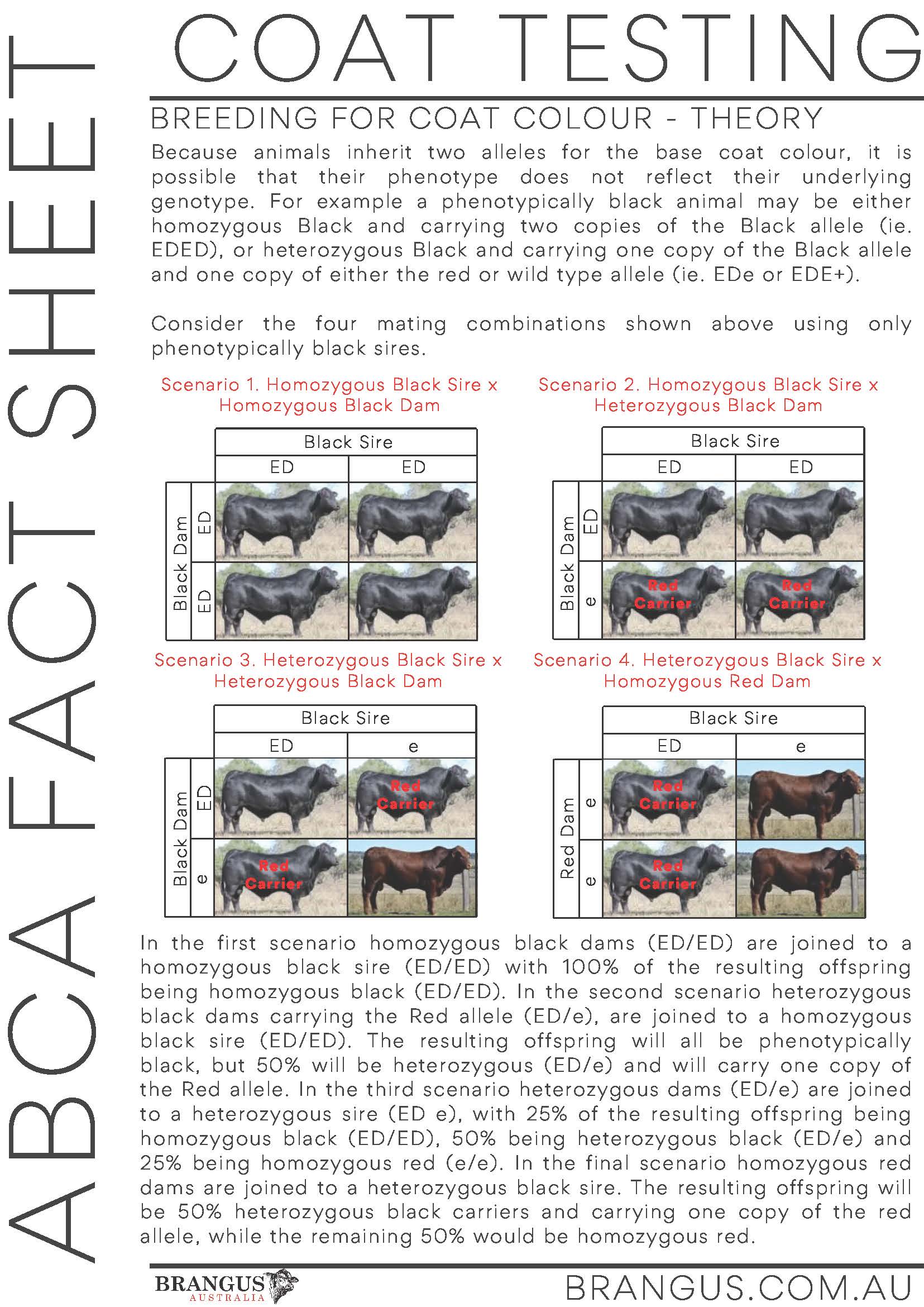 Understanding Coat Colour