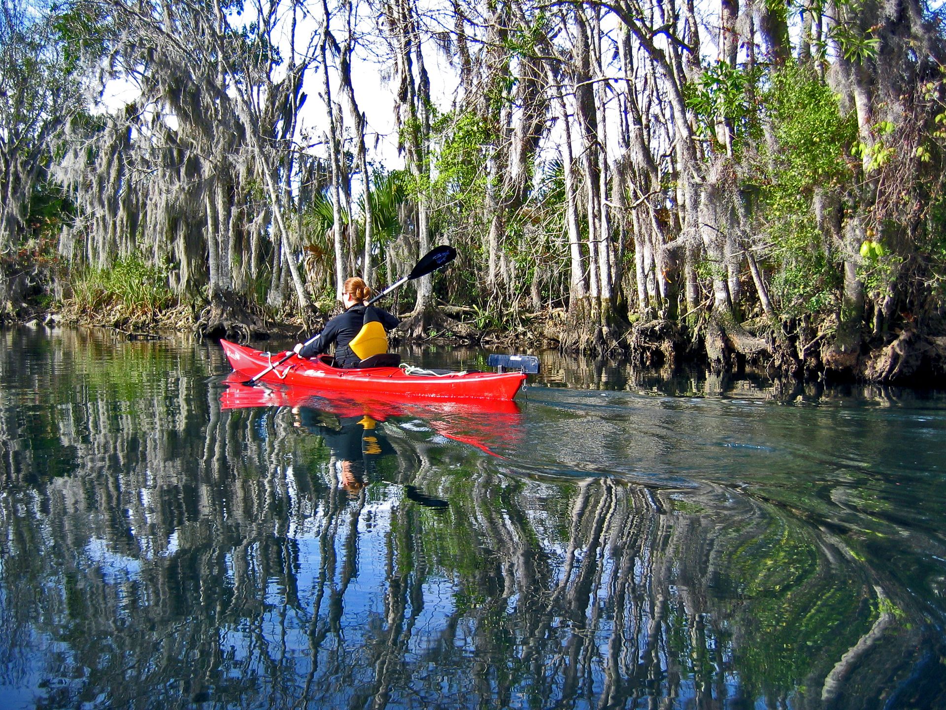 Visit Levy County | Things to Do, Interactive Map, Events & Stay