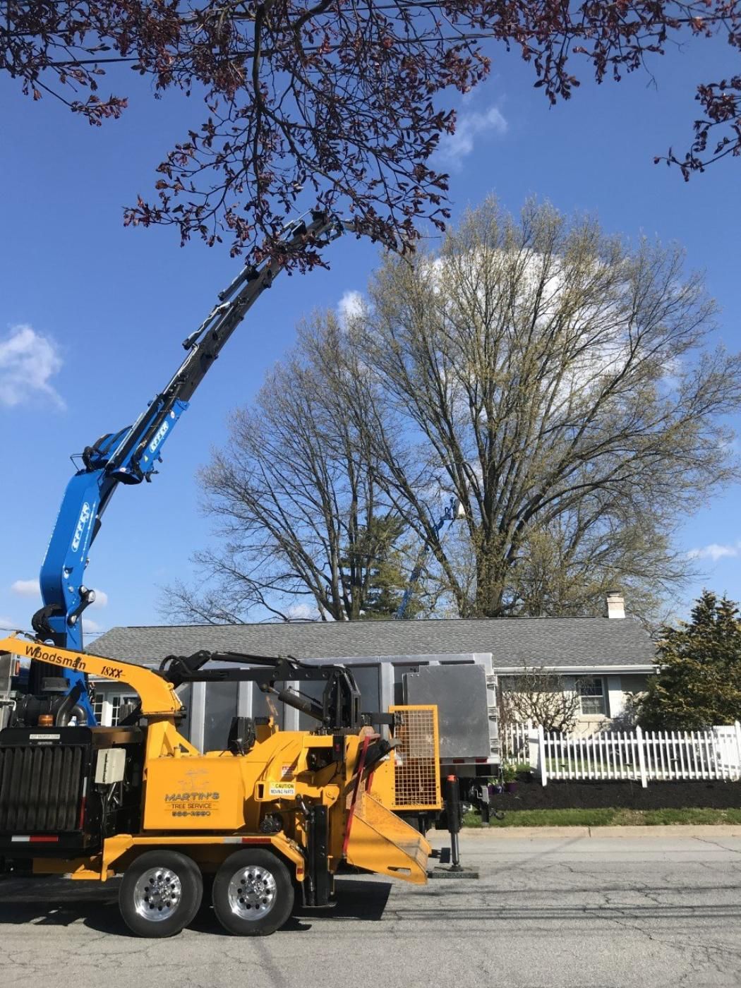 Tree Services | Hummelstown, PA | Martin's Tree Service