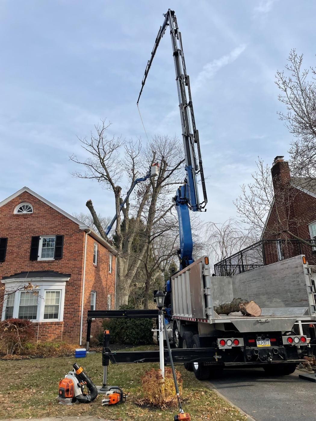 Tree Removals | Hummelstown, PA | Martin's Tree Service