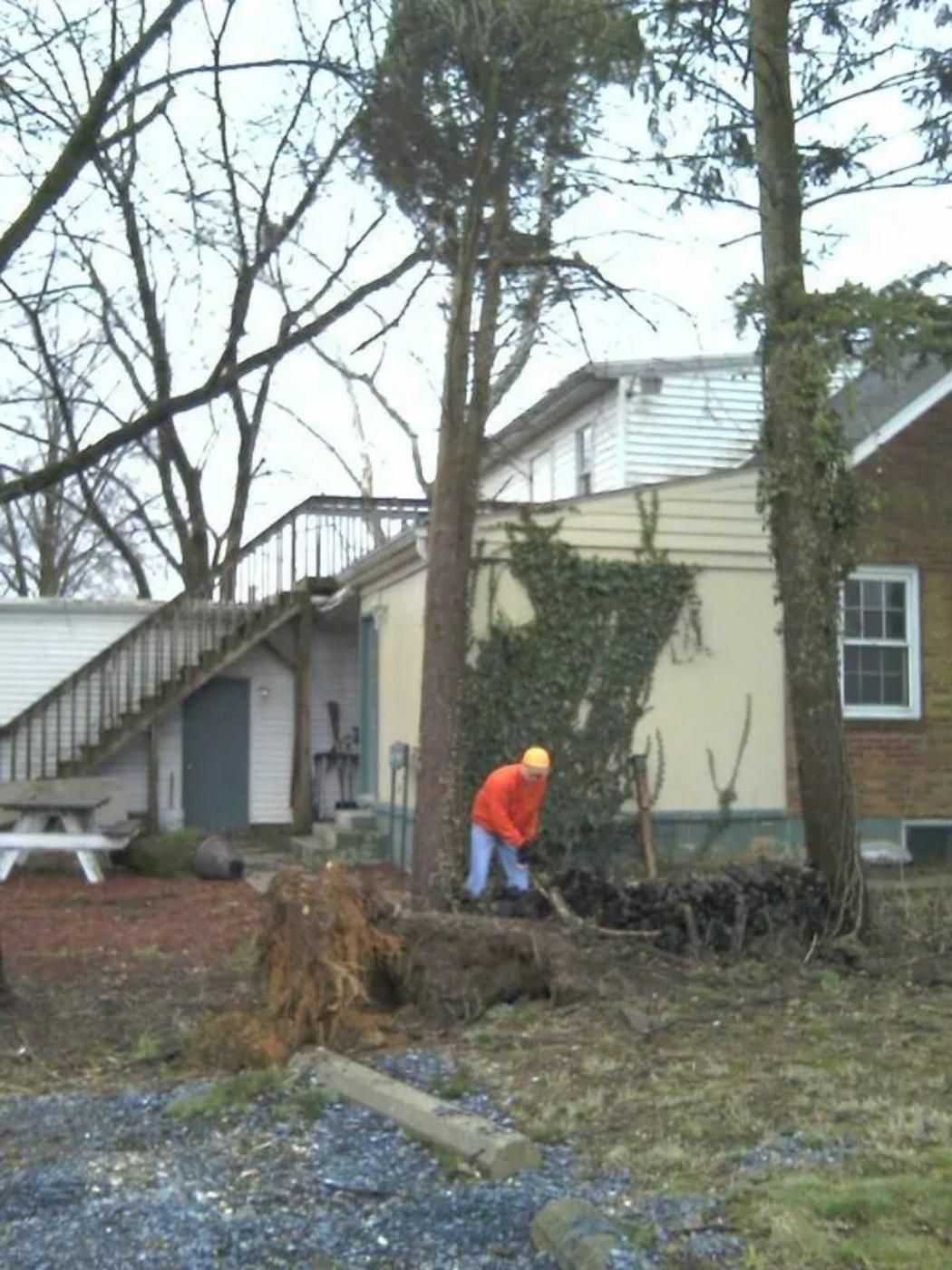 Project Gallery | Hummelstown, PA | Martin's Tree Service