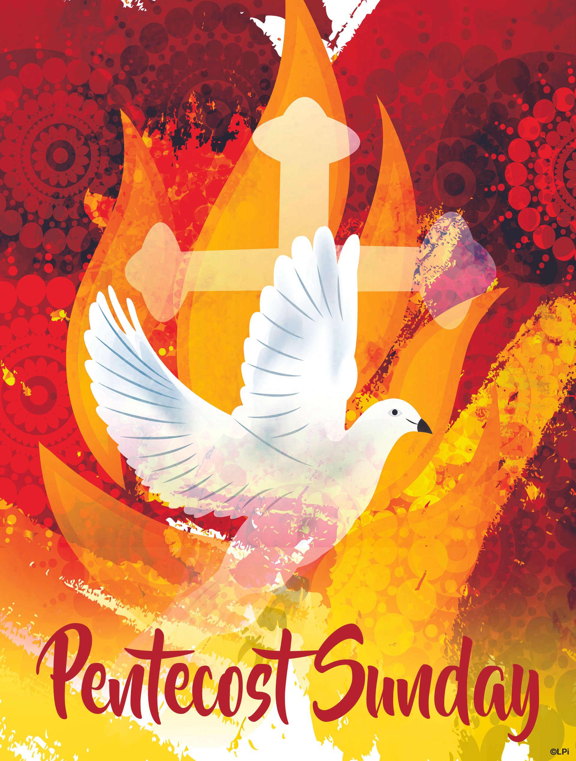 Home [www.stjohn23cr.org]