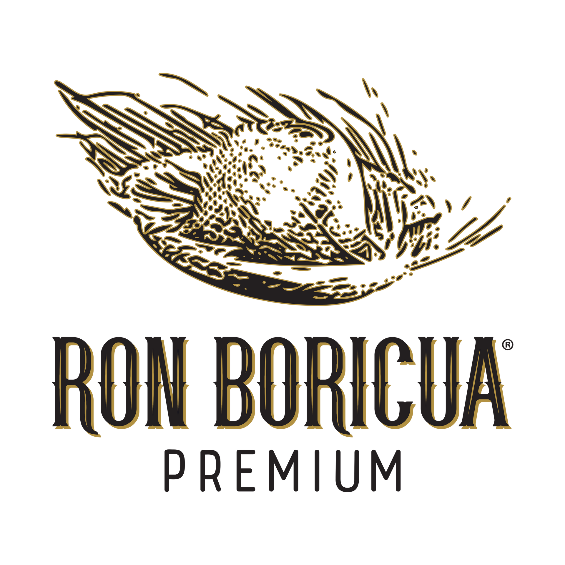 Home [www.ronboricuapr.com]