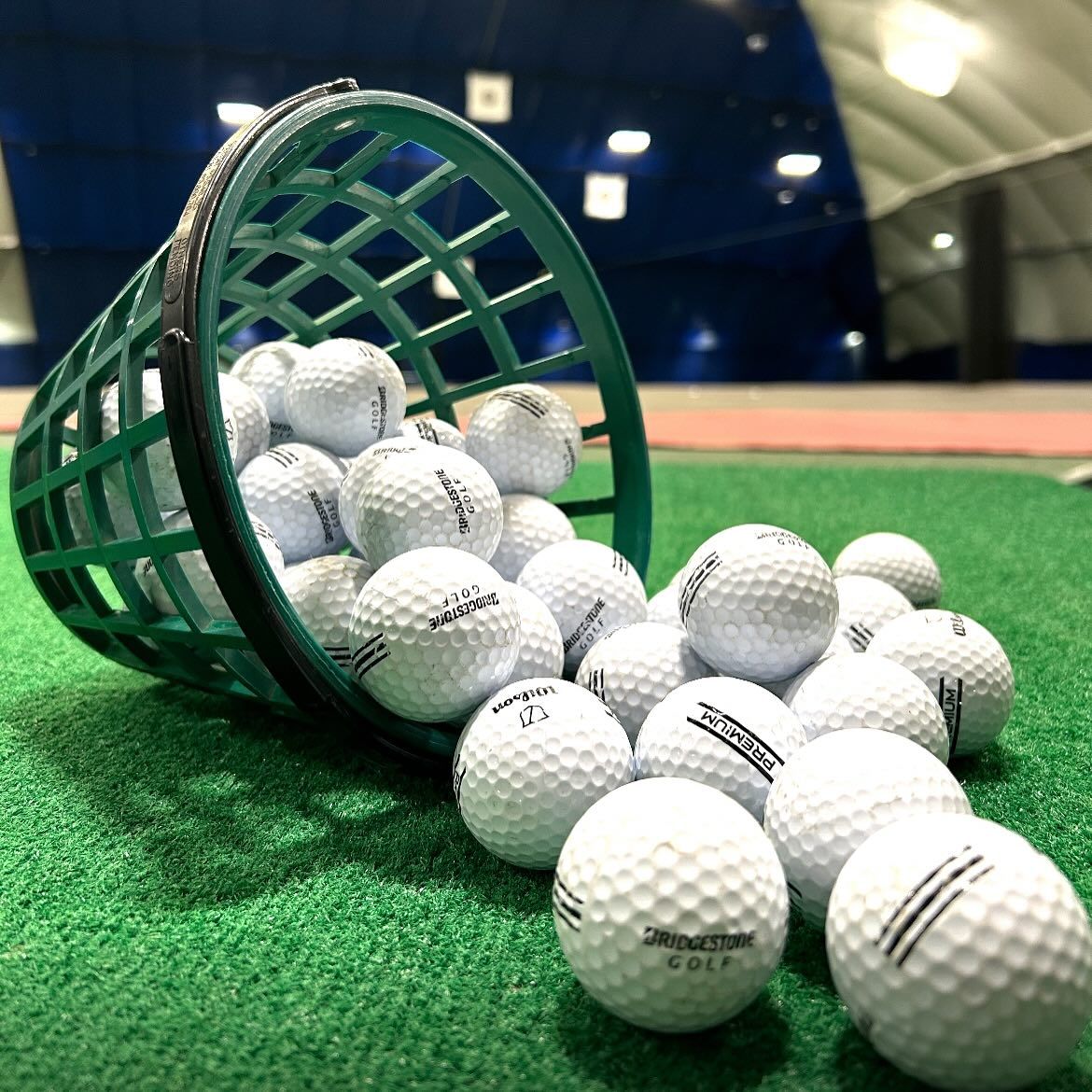 Adult Golf Clinics | Next Level Sports Center | Schoolcraft, MI