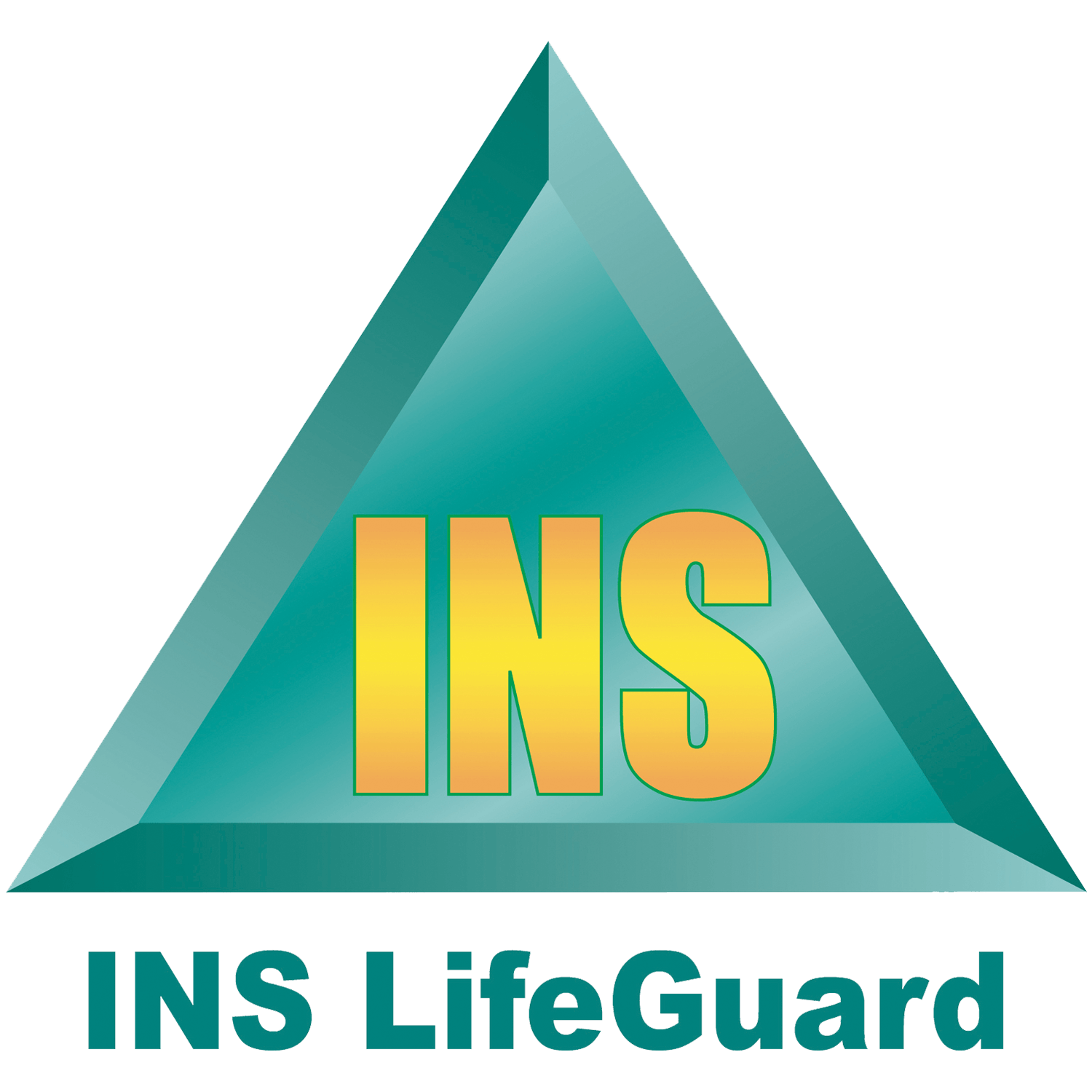 INS Group Newsletters & Media Archives | The INS Group