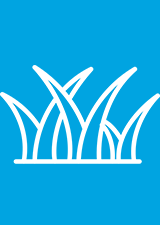 #1 Rated Pest Control Service In Decatur, AL