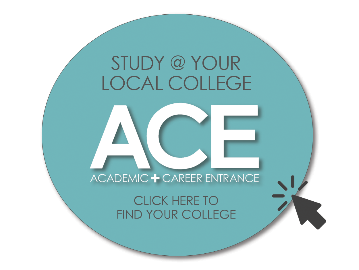 Ace Distance Delivery