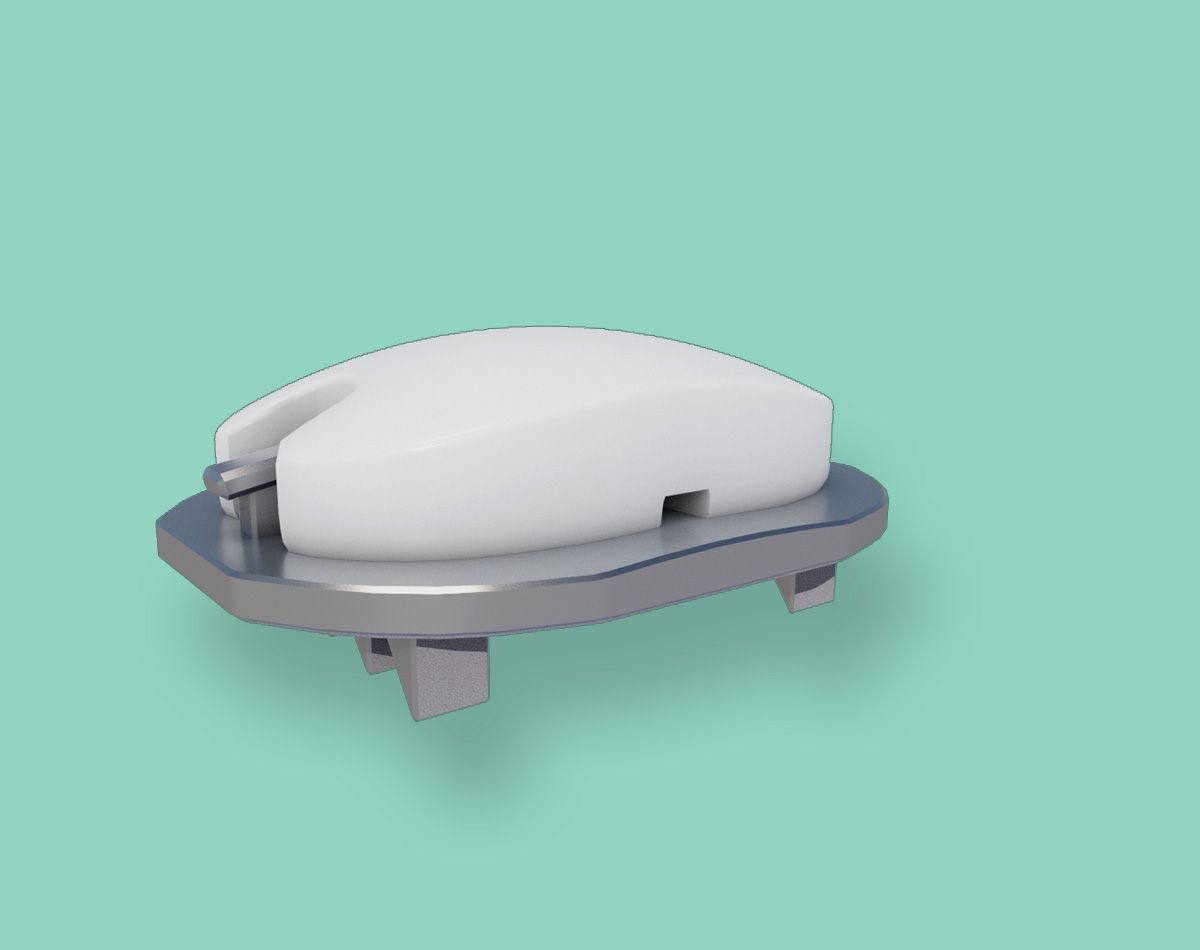 Showcase of Accurate and Visual Medical Illustrations | Ion Medical Designs