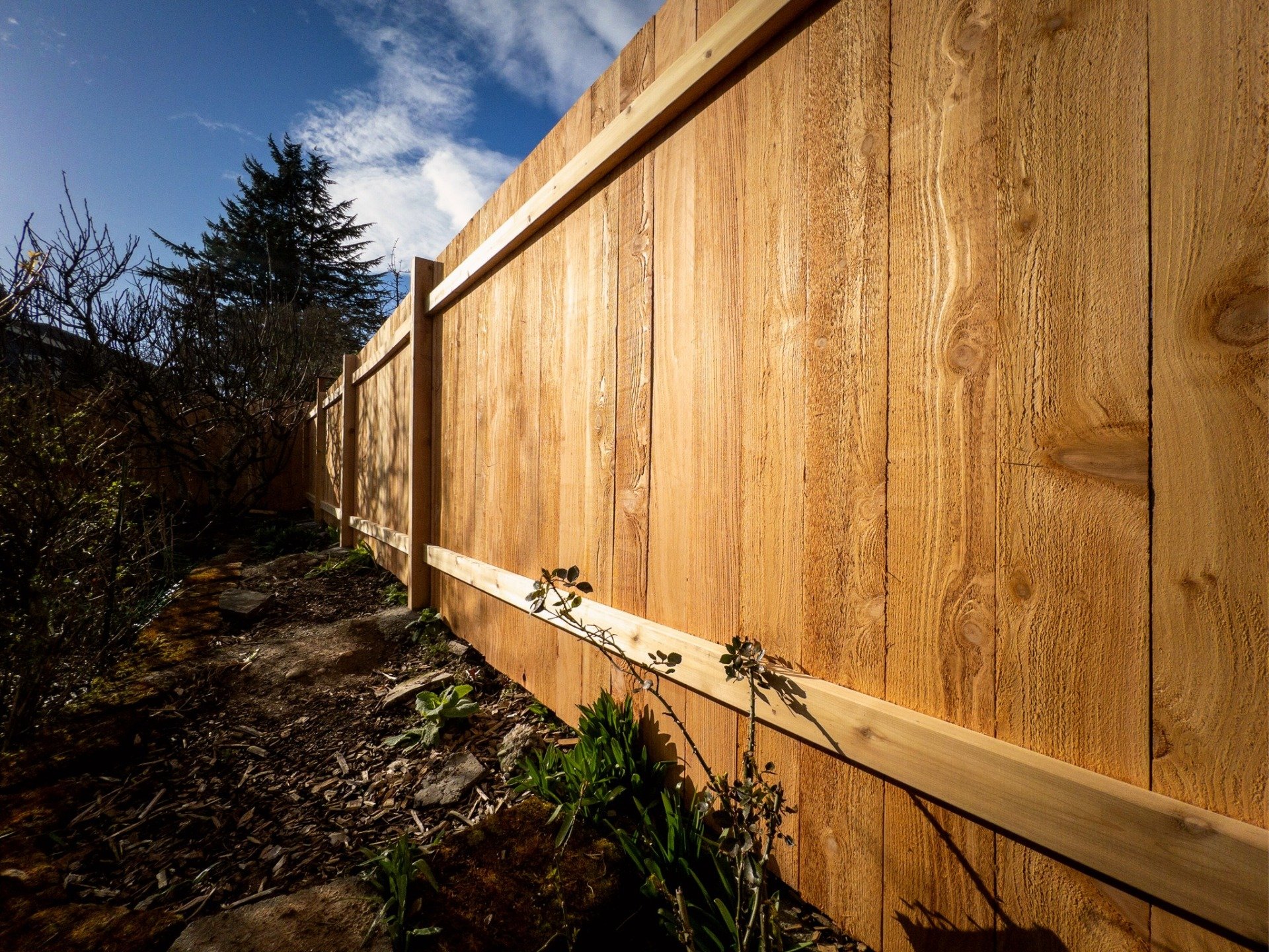 Seattle Fence Contractors | Cedar Fence Company Seattle Wa