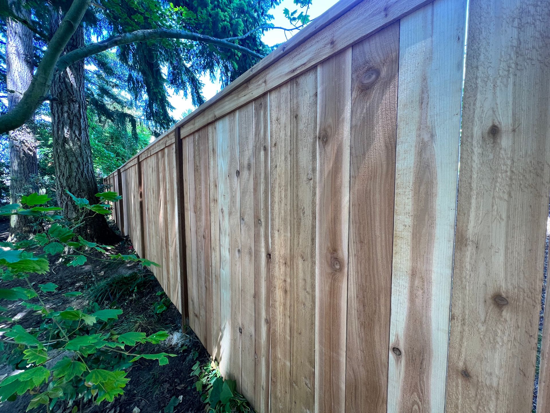 Seattle Fence Contractors | Premium Fence Company Seattle WA