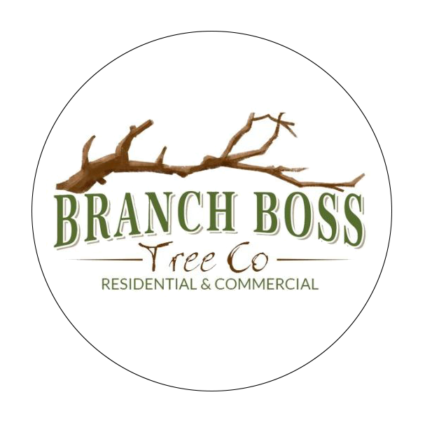 Tree Services | Branch Boss Tree Co. | Cleburne & Burleson, TX