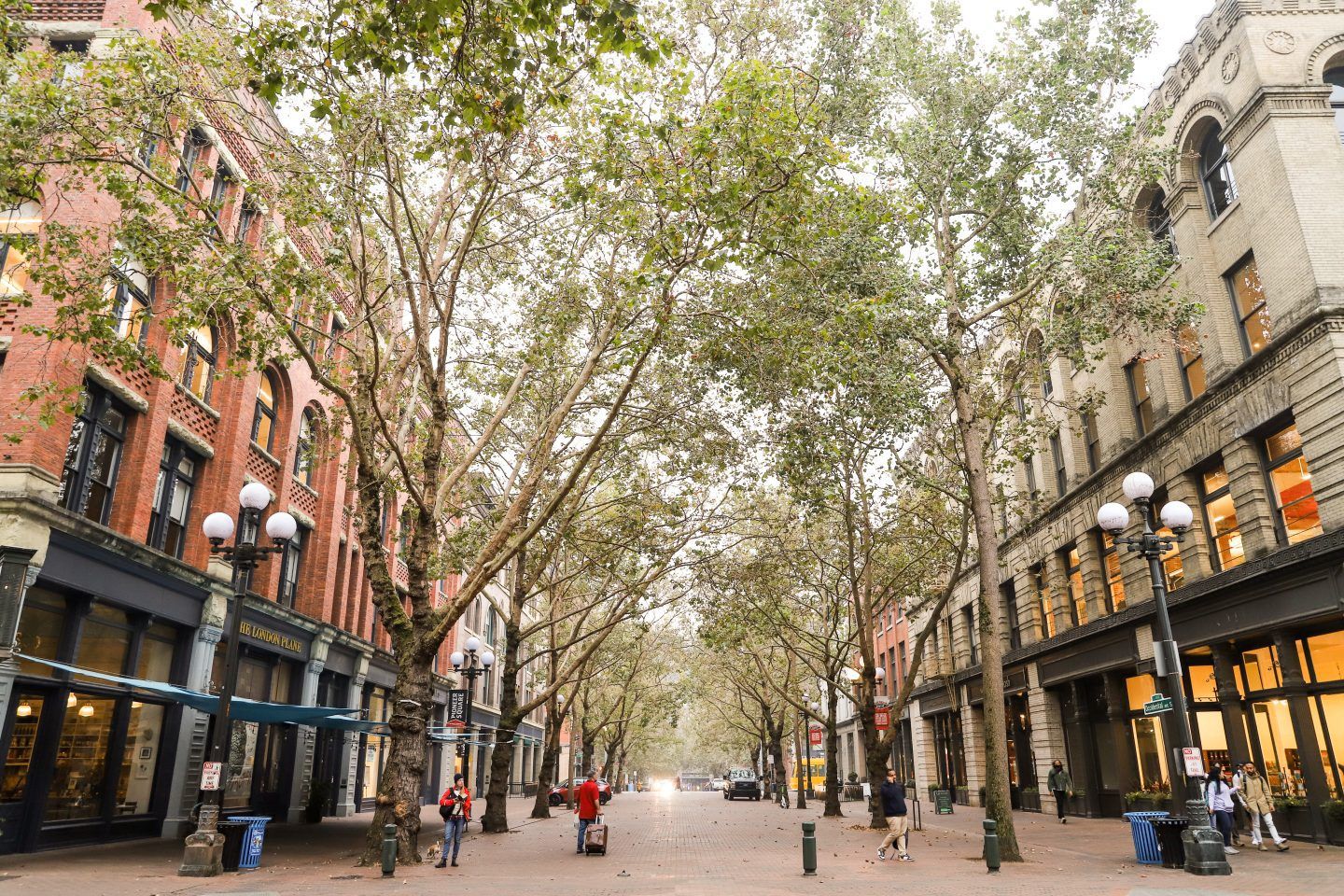 Icon Real Estate Services | Occidental