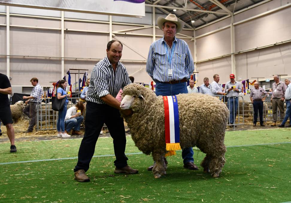 Exemplary Display in the Fine-Medium Wool Classes