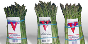 Thermal Labels | Thermal Printing | Mepco Label Systems