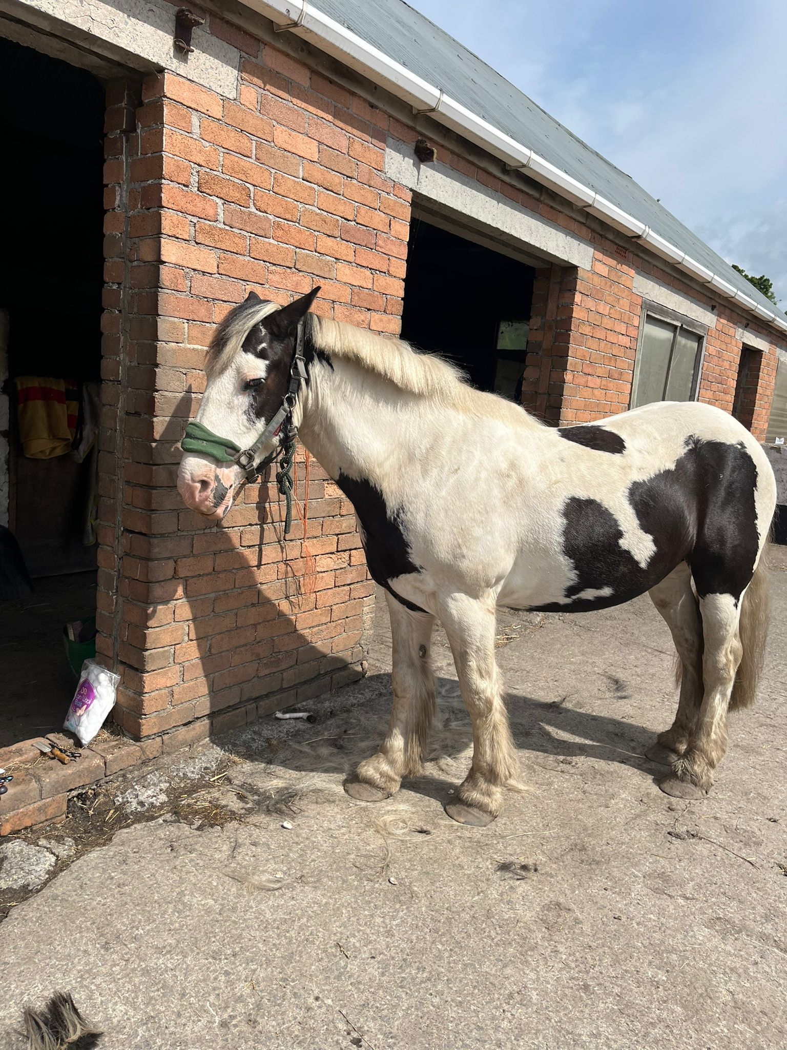 Horse stables | Green Farm Riding Stables