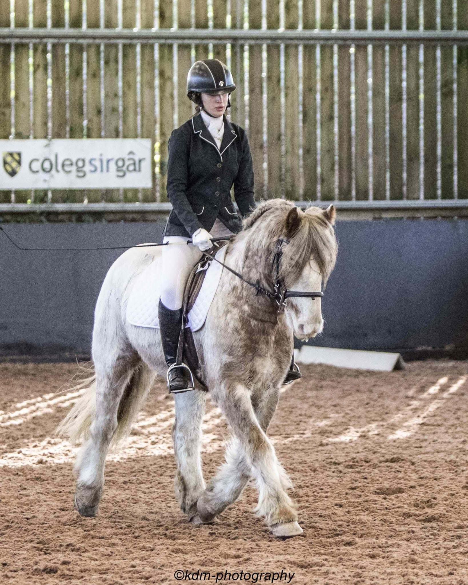 Horse stables | Green Farm Riding Stables