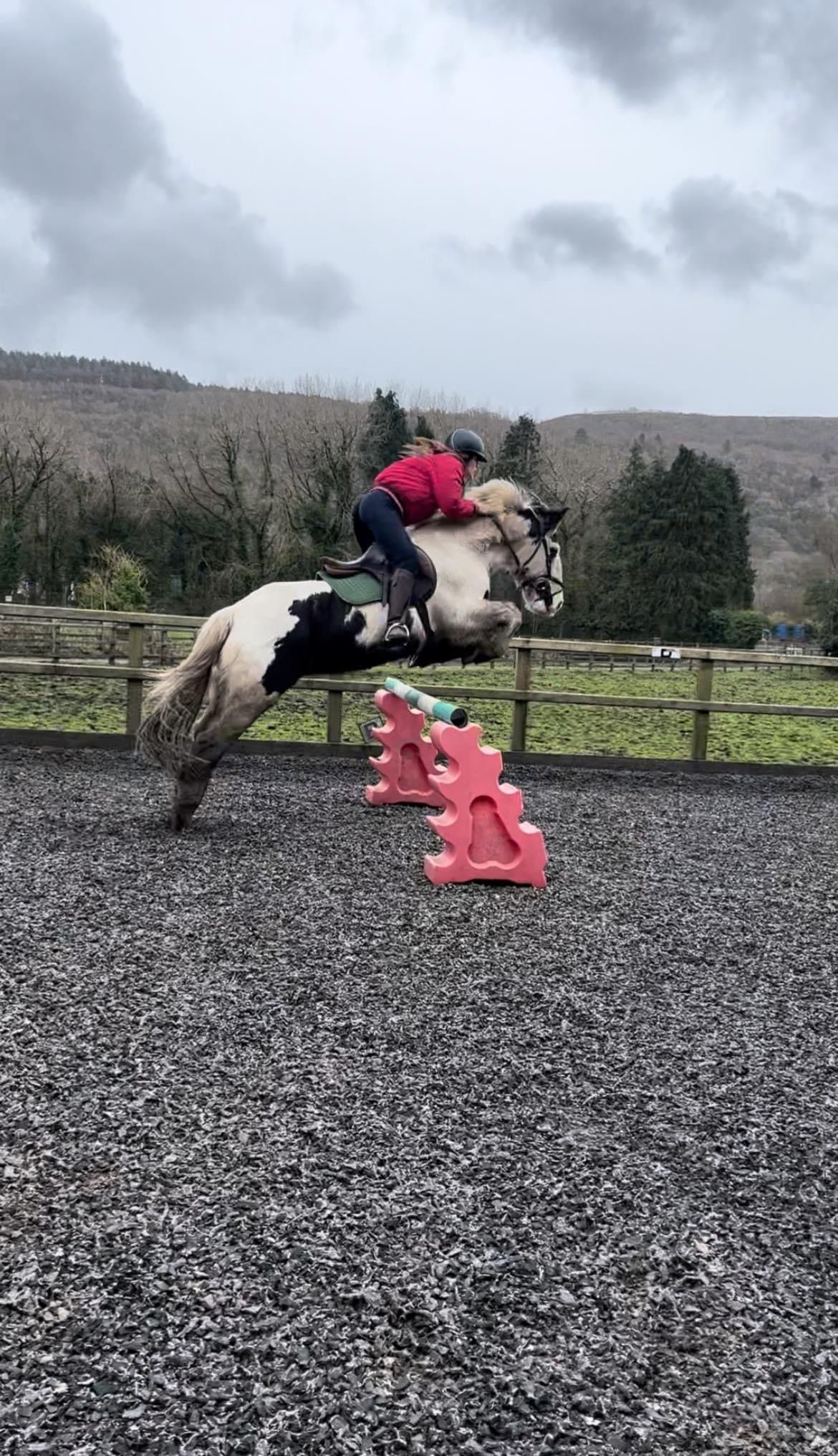 Horse stables | Green Farm Riding Stables