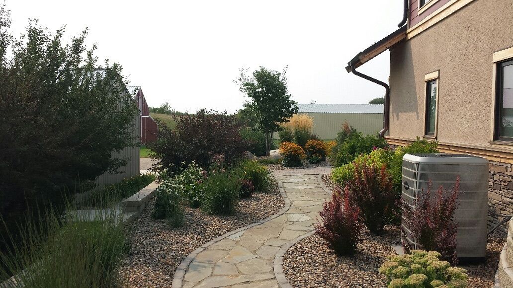 Discover Your Yard's Beauty with Our Landscaping Renovations