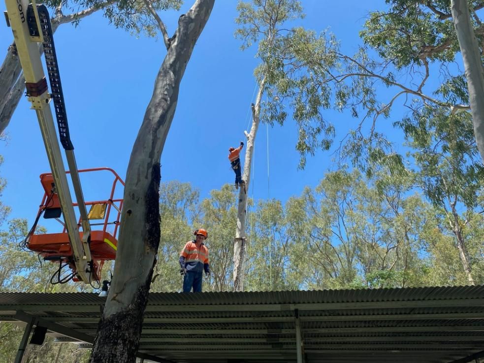 Contact | Emerald Tree Services