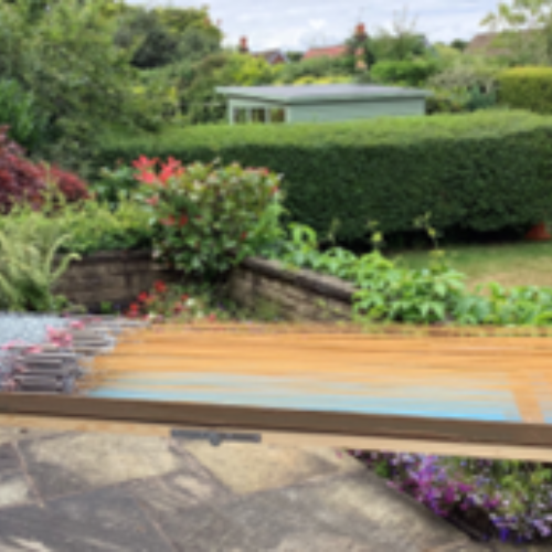 Antiquus Sheep Gut Music Strings