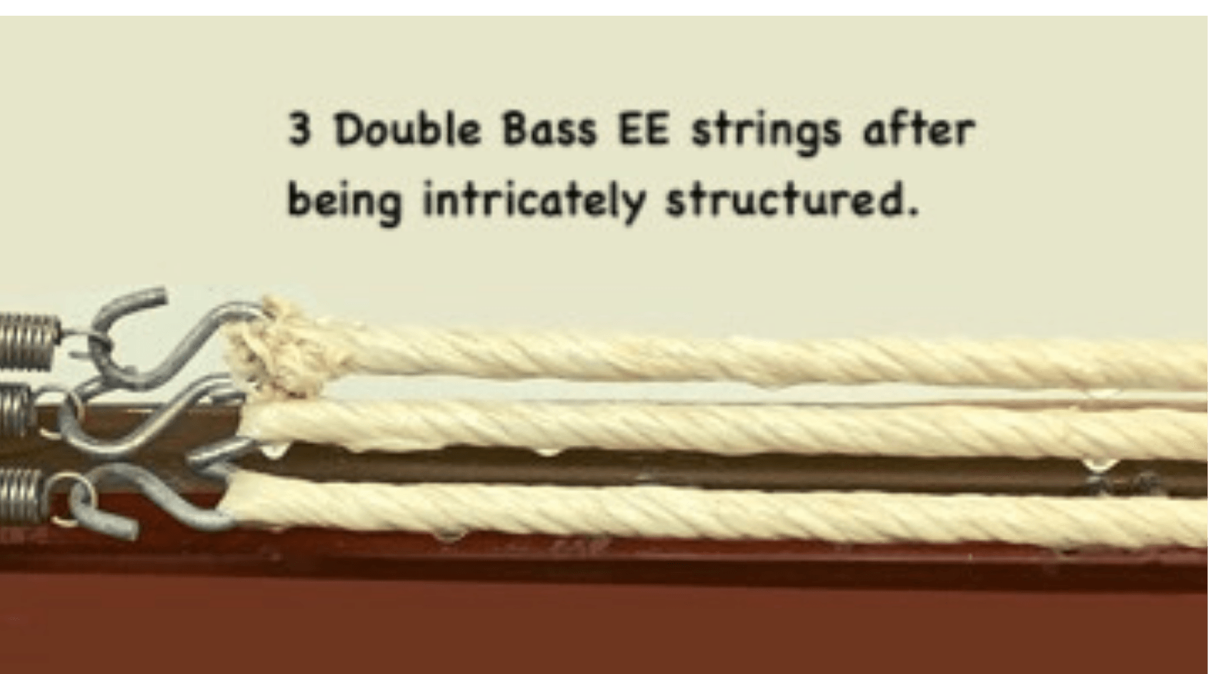 Antiquus Sheep Gut Music Strings