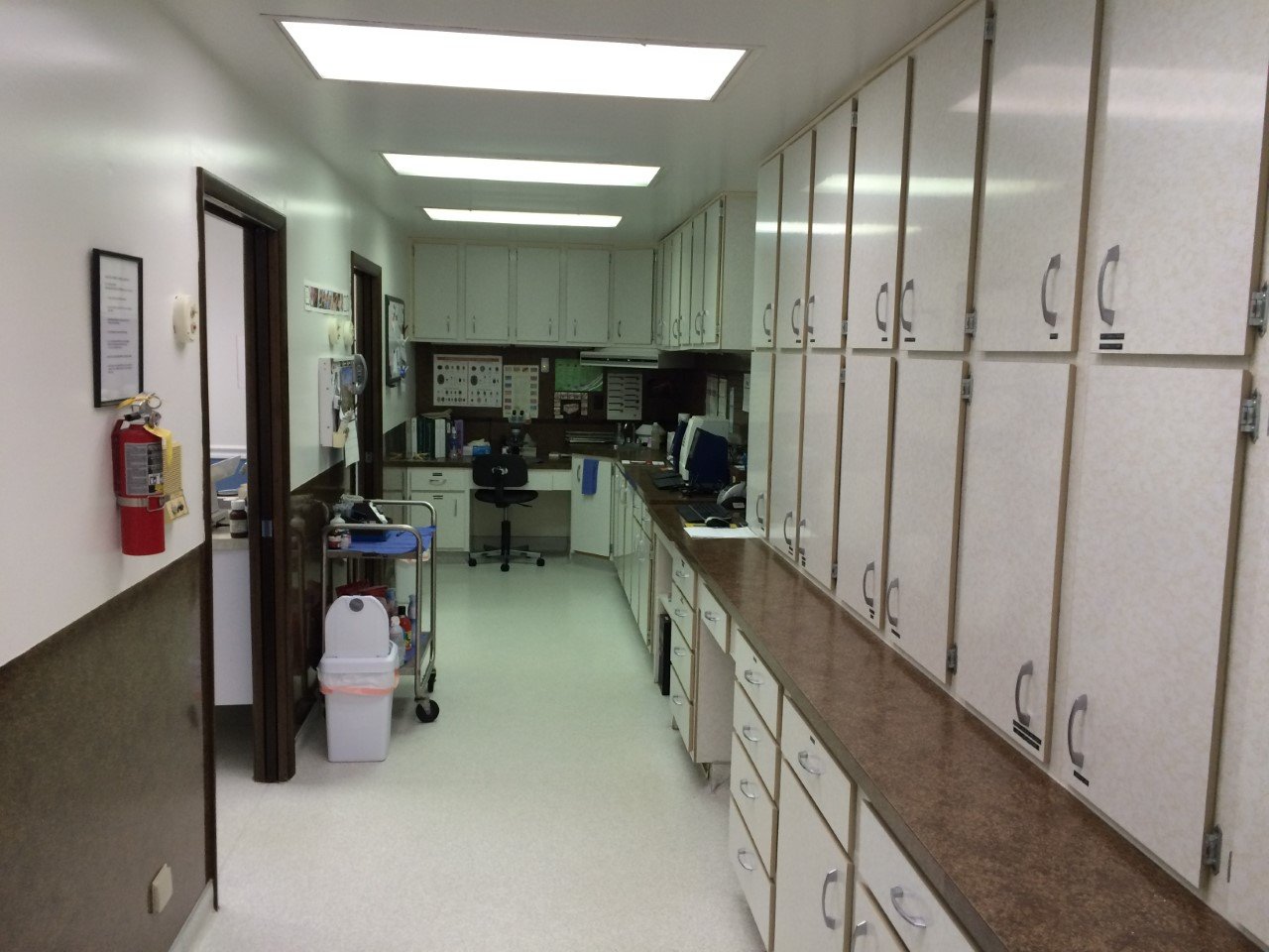 Veterinary Surgery in Columbus OH | Great Southern Animal Hospital