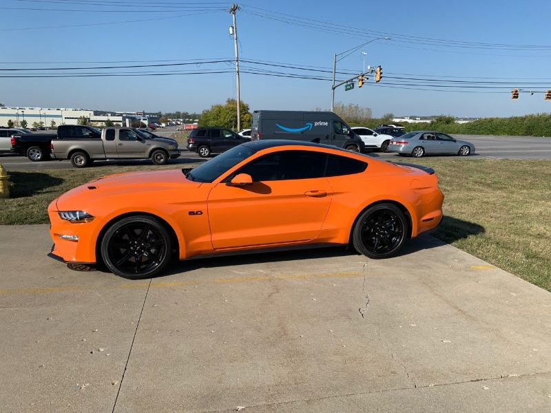 Tint Guy Window Tinting - 20+ Years Experience - Family Owned