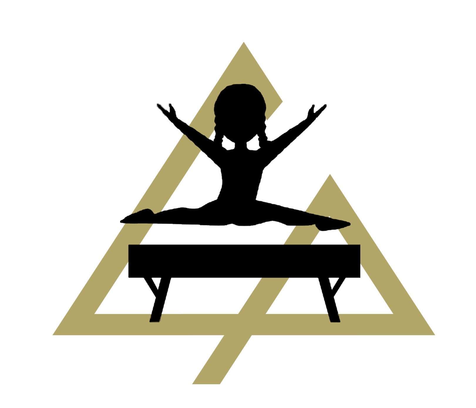 Gymnastics & Karate Classes | Golden Triangle Gym | Great Falls, MT