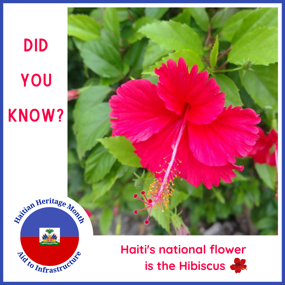 Hibiscus: The Official Flower of Haiti