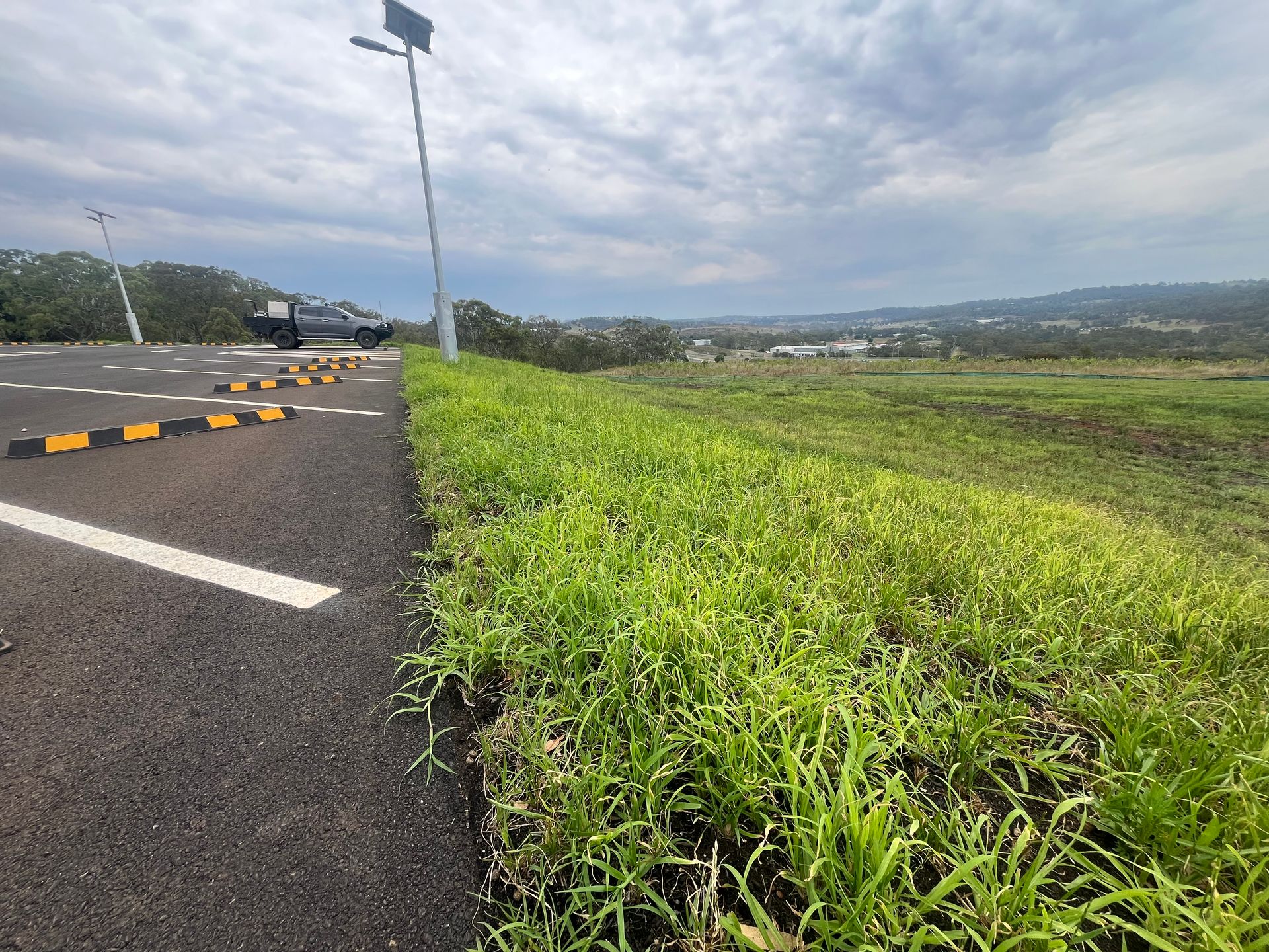 Sustainable Revegetation Solutions | Queensland Revegetation Group