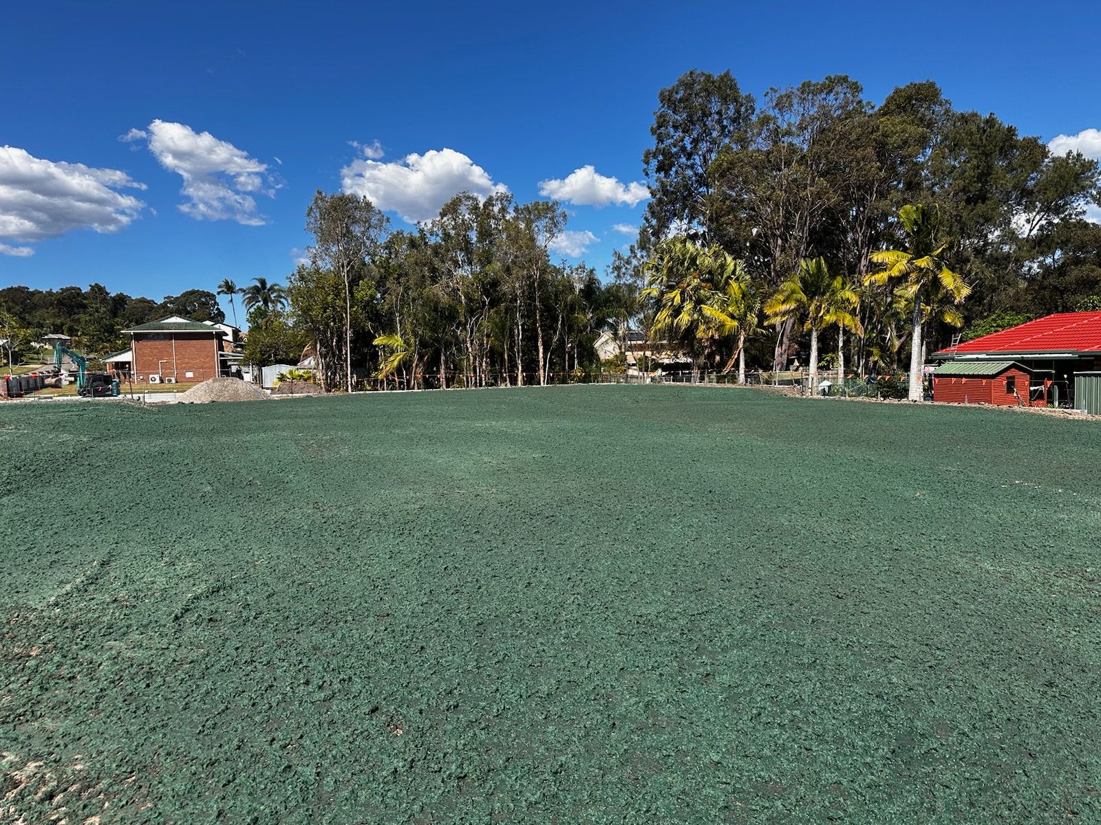 Sustainable Revegetation Solutions | Queensland Revegetation Group