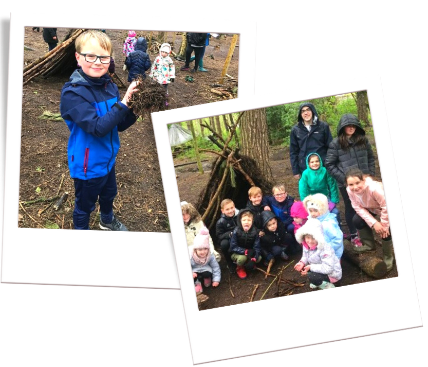 Forest Explorers | Delamere Forest | Cheshire