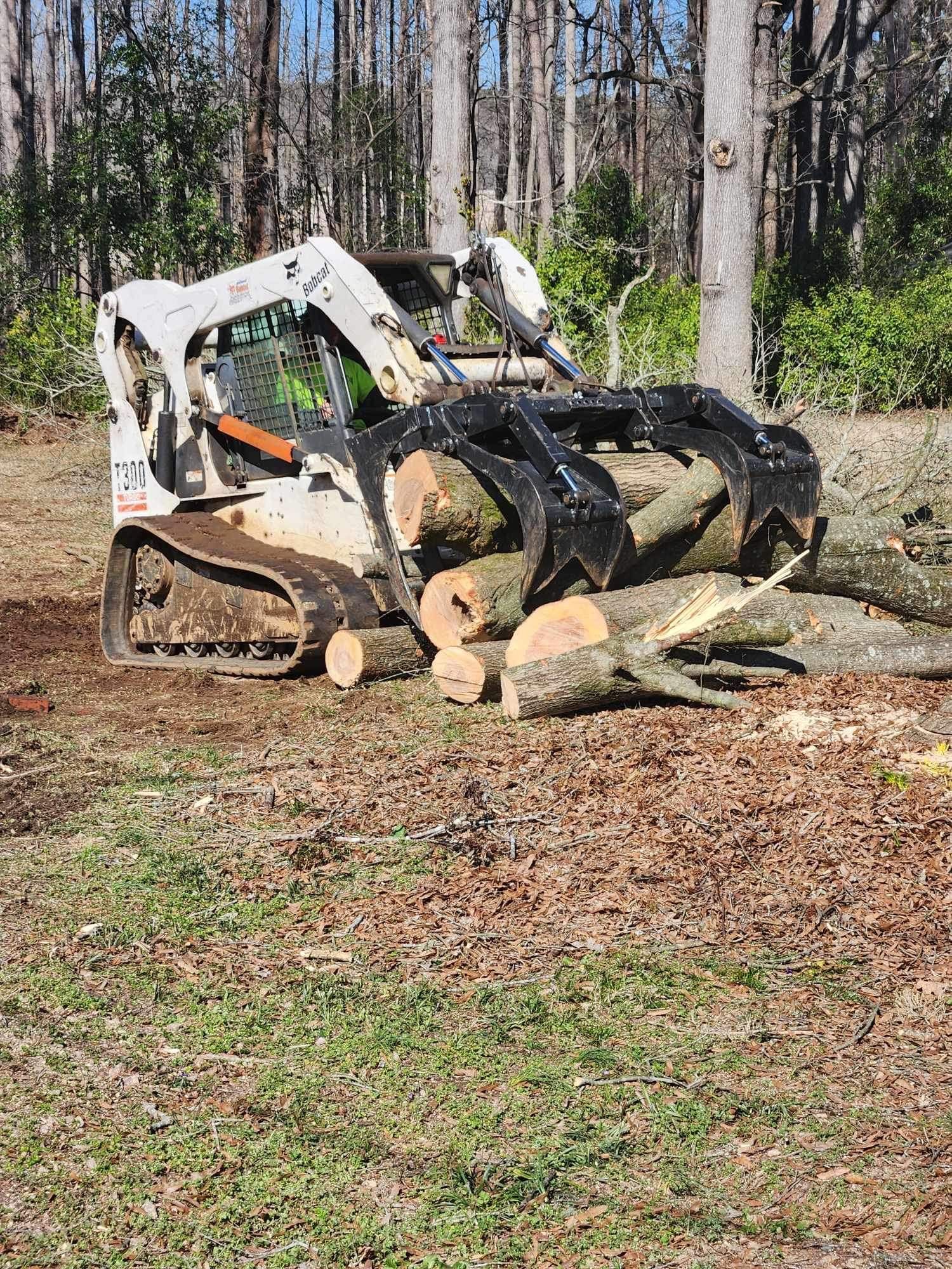 Tree Removal | Mocksville, NC | Canopy Tree Service