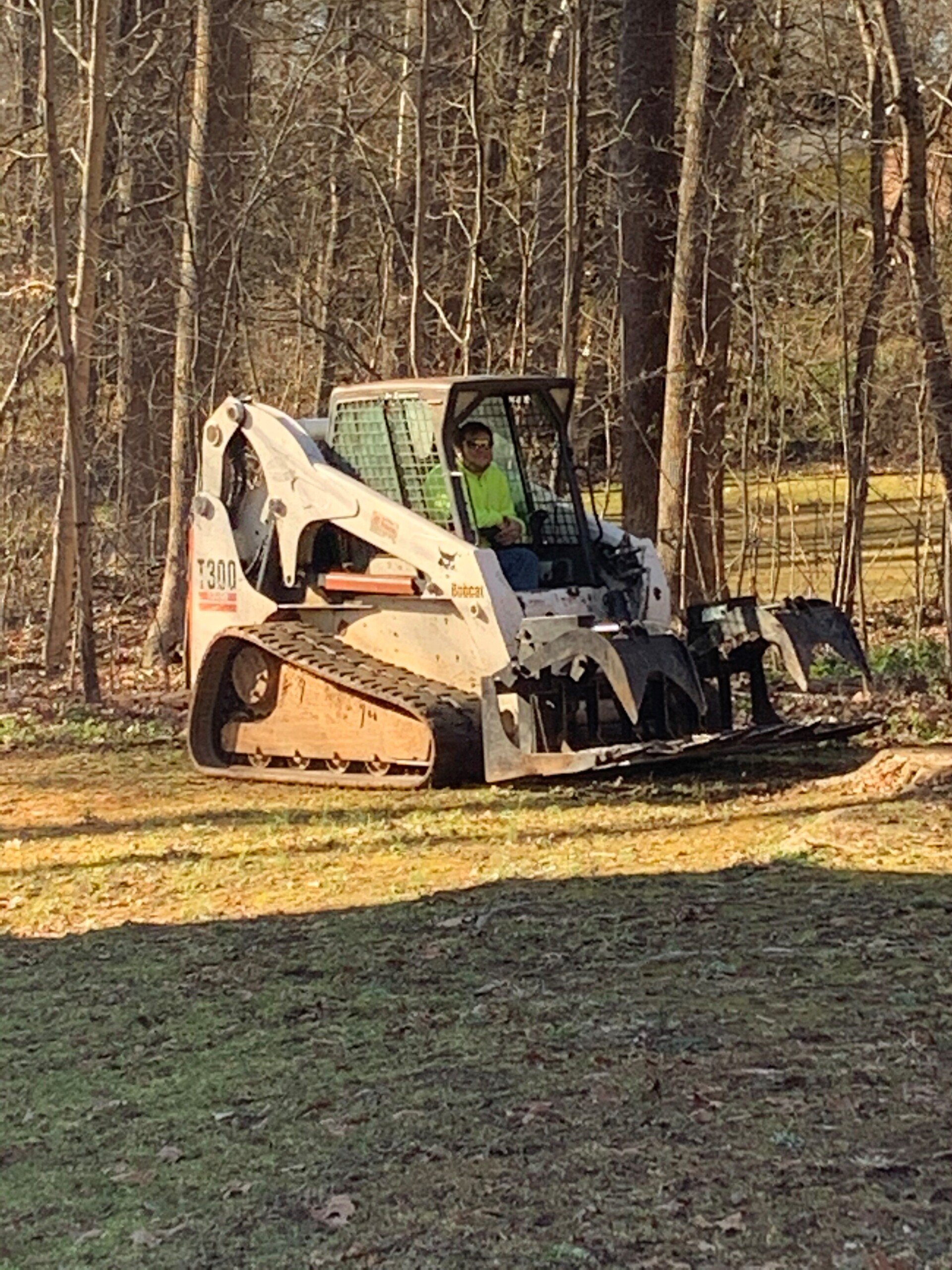 Tree Removal | Mocksville, NC | Canopy Tree Service