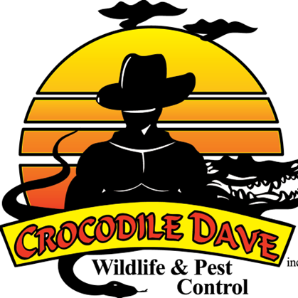 Pest Home Proofing Service | Tucker, GA | Crocodile Dave