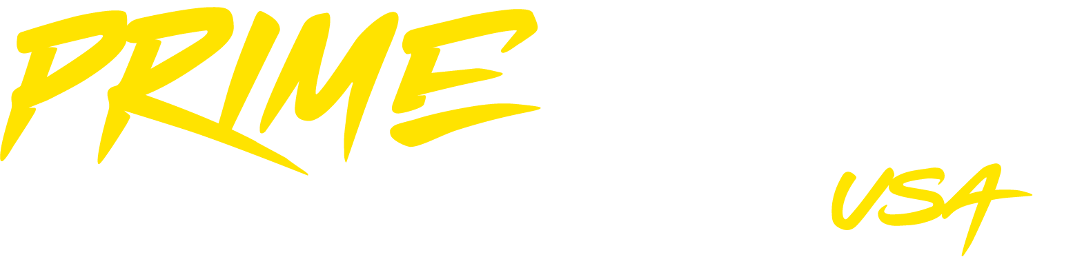 About Us | Prime Boxing USA | Orlando, FL