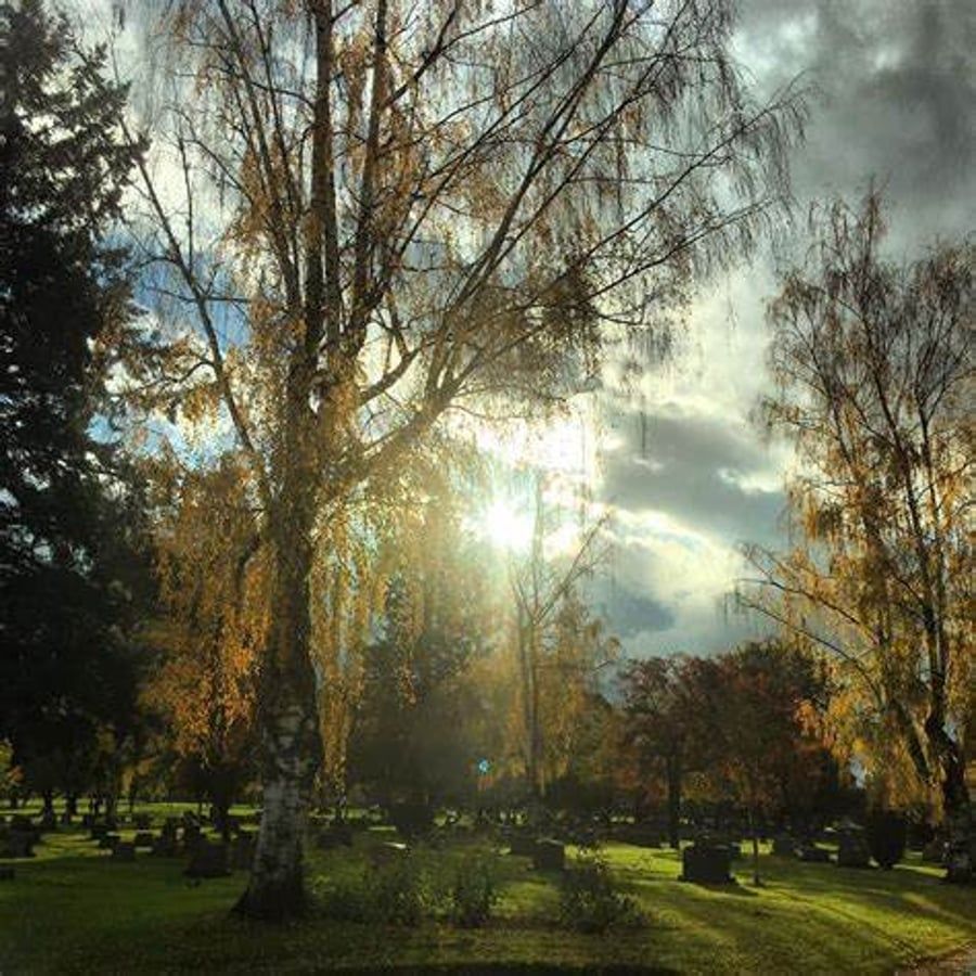 Cemeteries | Cemetery Association of Oregon