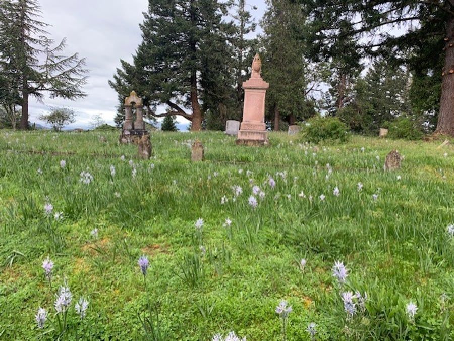 Cemeteries | Cemetery Association of Oregon