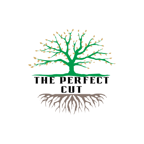 Tree Removal | Middleburg, FL & Gainesville, FL | Perfect Cut Tree
