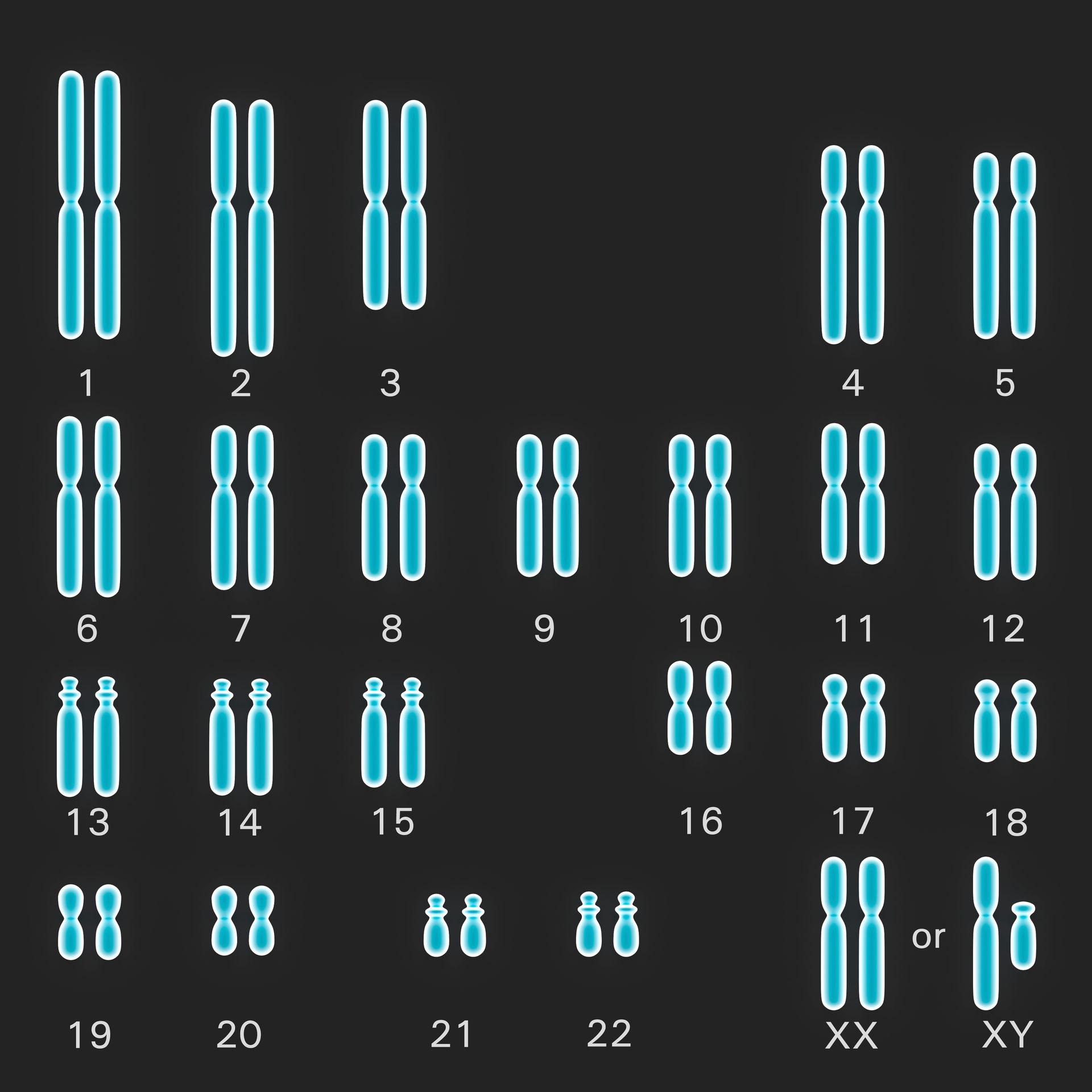 Demystifying DNA 4: autosomal DNA tests