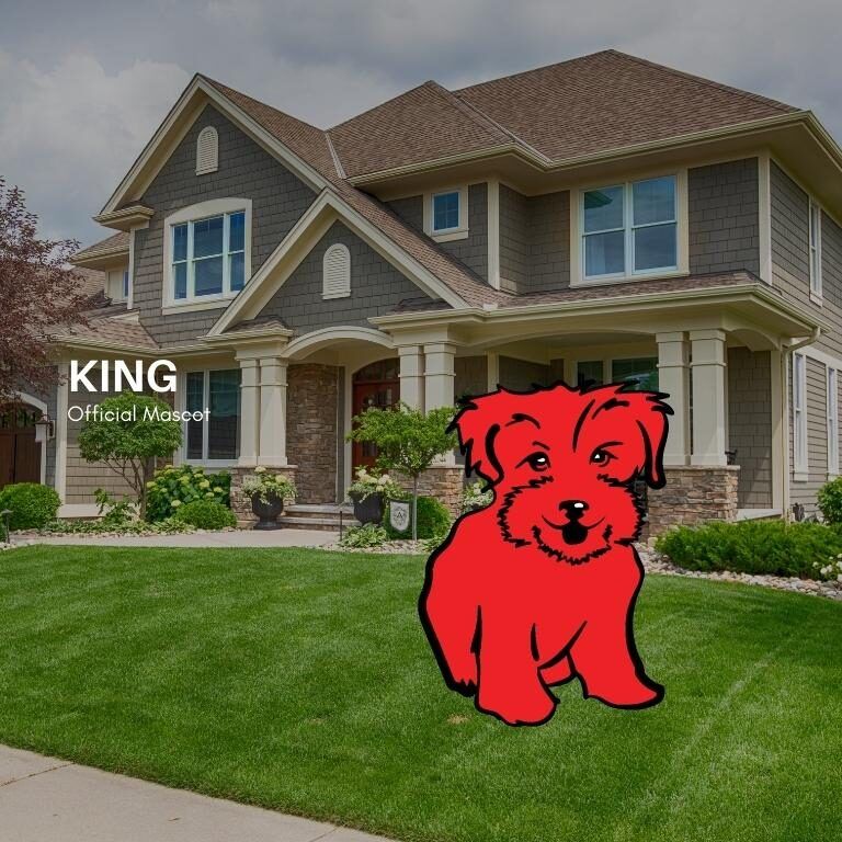 Real Estate Team | Red Dog Real Estate | Sacramento, CA