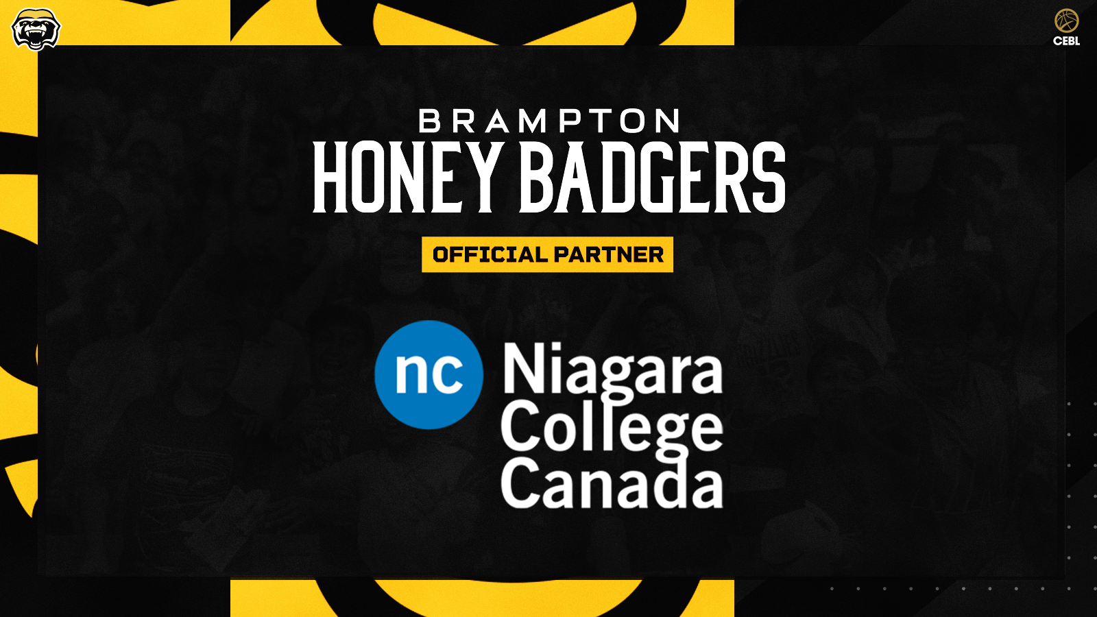 Niagara College Canada Logo Niagara College Always Looking To The