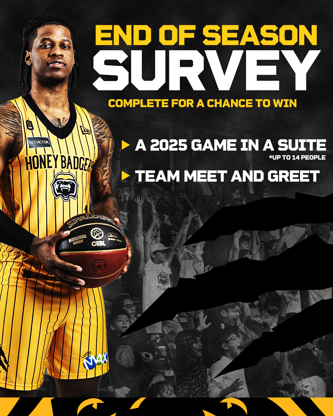 Brampton Honey Badgers