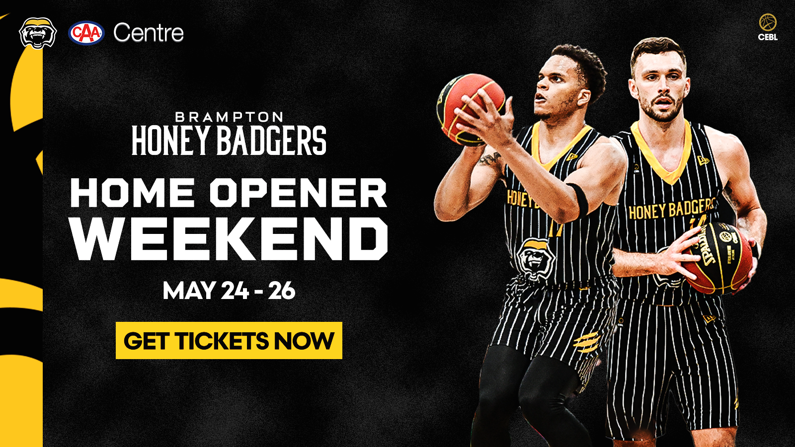 Brampton Honey Badgers - Canadian Professional Basketball Team