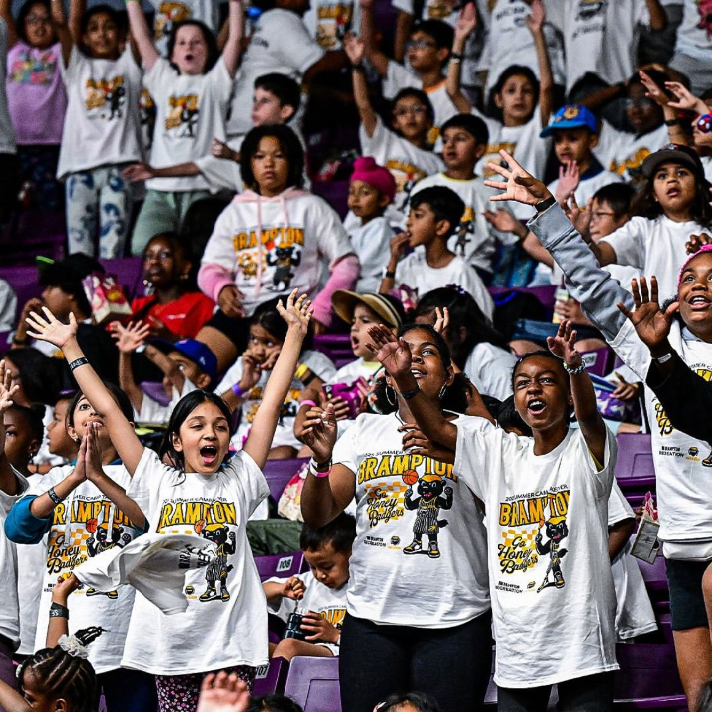 Brampton Honey Badgers - Canadian Professional Basketball Team