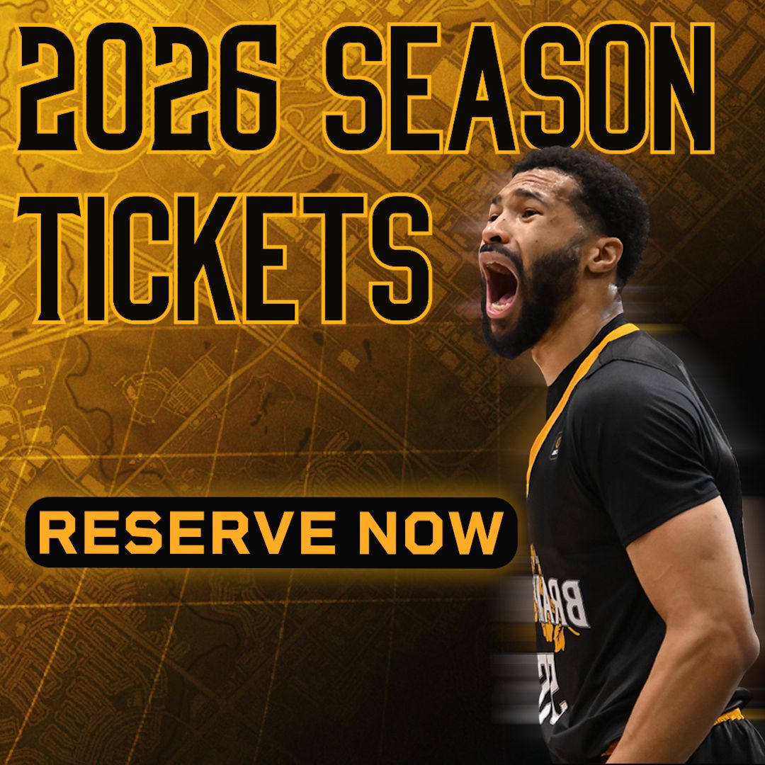 Brampton Honey Badgers - Canadian Professional Basketball Team