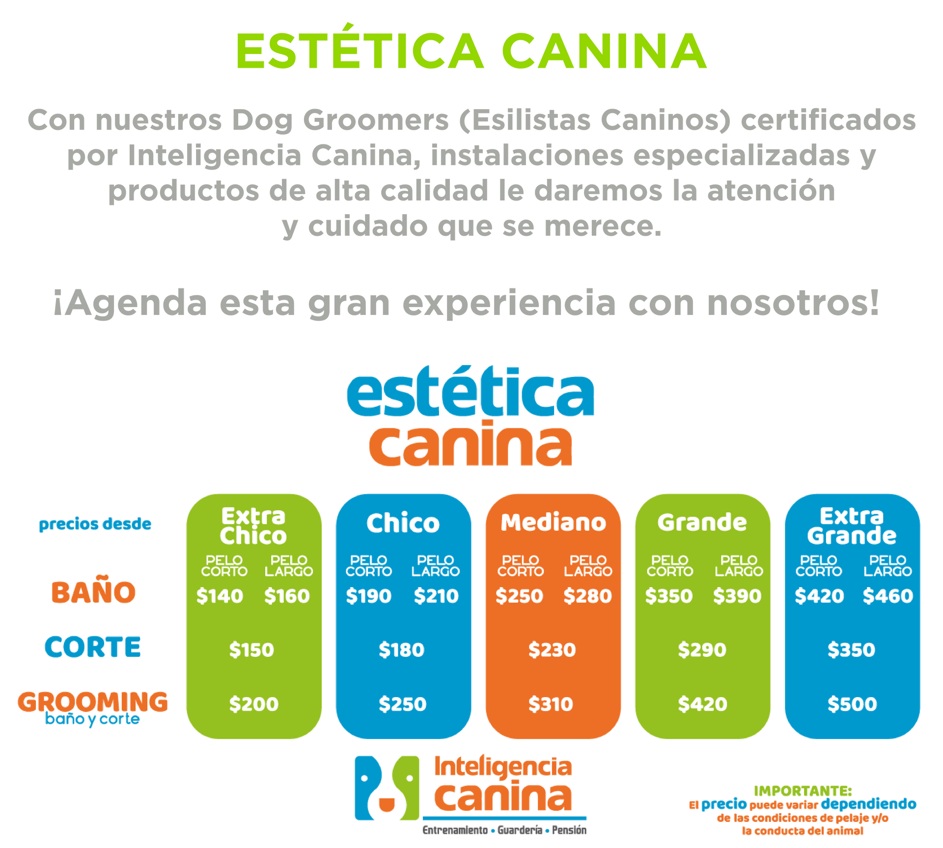 Estética Canina en Ciudad de México | Inteligencia Canina