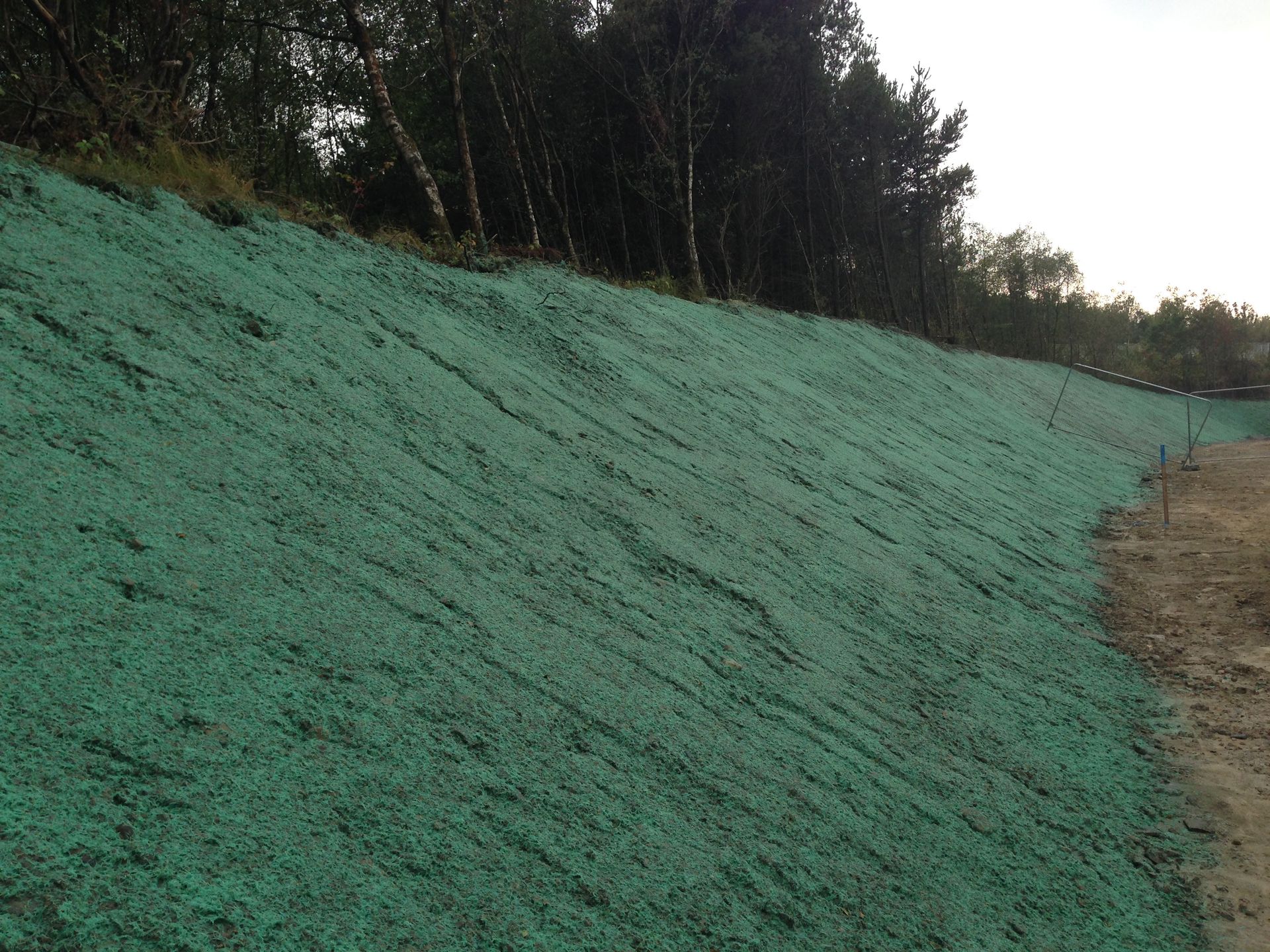 Hydroseeding | Soil Stability & Grass Growth | NAMO LLC